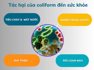 Vi khuẩn coliform là gì? Cách xử lý coliform trong nước an toàn, hiệu quả